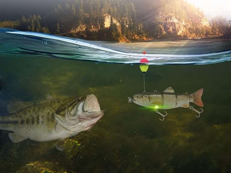 Increase Your Chances Of Making A Big Catch With This Robotic Swimming Lure